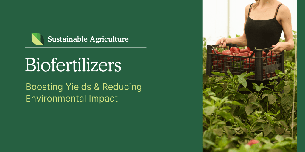 How Biofertlizers can Aid in Sustainable Agriculture and Food Security?