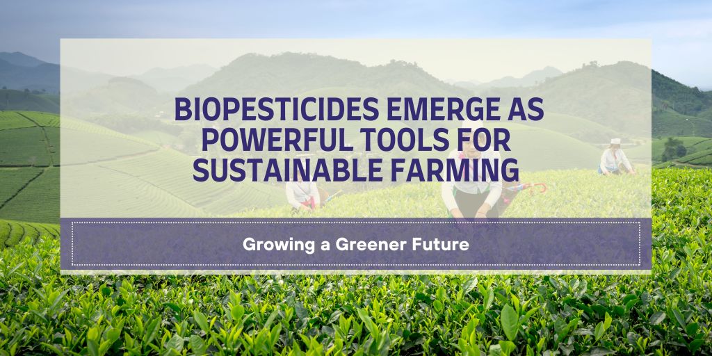 The Rise of Biopesticides: A Key Trend Shaping the Future of ...
